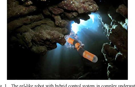 Figure 1 From Modeling And Simulation Of An Eel Like Robot With Hybrid Control System Semantic