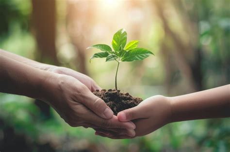 Premium Photo Two Individuals Hold A Young Tree Together In Their
