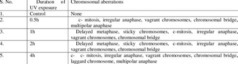Different Chromosomal Aberrations Observed In A Cepa Root Tip Cells