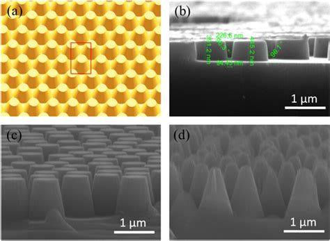 A Schematic Diagram Of A Nanopillar Array Where The Red Box Download Scientific Diagram