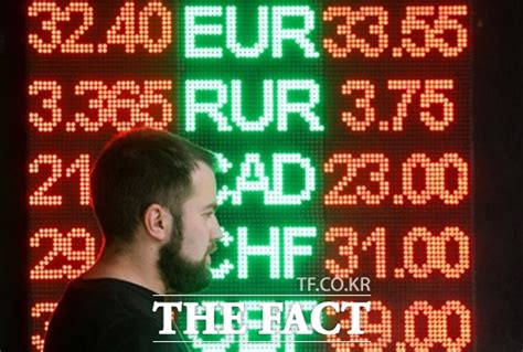 우크라 중앙은행의 고민흐리브냐 통화가치 25 평가절하하면서도 25인 금리 유지 세계 기사 더팩트