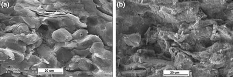 Fracture Surfaces Of The Spsed A Al 05wt Cnt And B Al 15wt Cnt