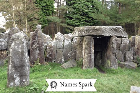 Cool Catchy Druid Names That Make You Proud