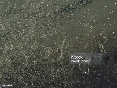 부드러운 빙하에 얼음 조각이 녹아 얼음 텍스처가 깨지는 것입니다 강에 대한 스톡 사진 및 기타 이미지 강 강둑 겨울 Istock