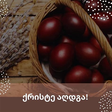 საქართველოს ფრენბურთის ეროვნული ფედერაცია Georgian Volleyball