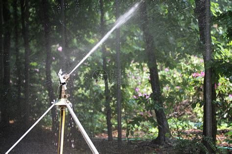 公园的喷水器途径树篱小路洒水器花园园艺绿色太阳植物生长高清图片下载 正版图片321100221 摄图网