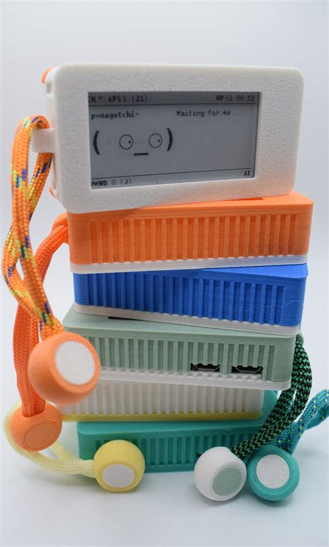 Pwnagotchi Case And Screen Combo Pwnagotchi