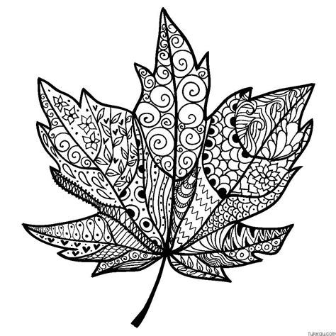 Leaf Patterns Coloring Page Turkau