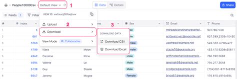 Download NocoDB