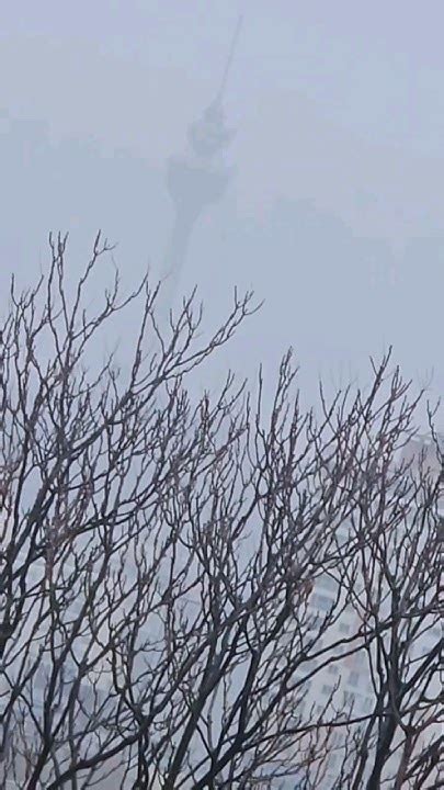 비오는 날 안개 속에서 나타 난 대형 건물의 정체 Youtube