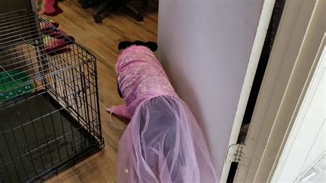 Princess Carlita Youtube