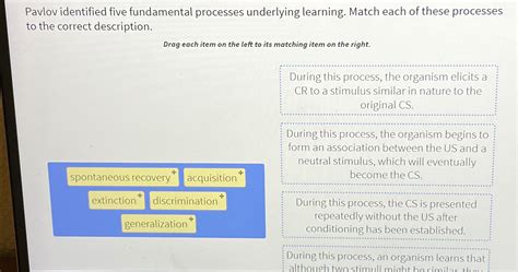 Solved Pavlov Identified Five Fundamental Processes Chegg