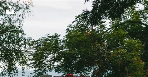 낮 동안 푸른 나무 옆에 주차 된 빨간색과 흰색 트럭 사진 Unsplash의 무료 사진술 이미지