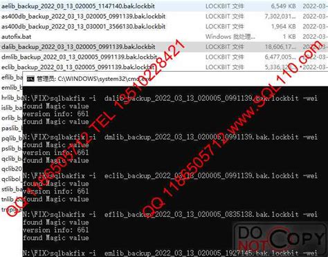 Lockbit勒索病毒解密恢复 服务器中lockbit勒索病毒解密恢复 Sql数据库中毒解密恢复