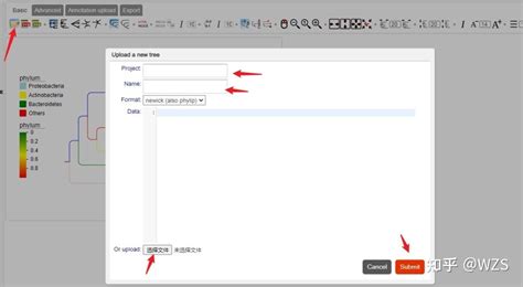 进化树美化——evolview基本命令速查与教程 哔哩哔哩