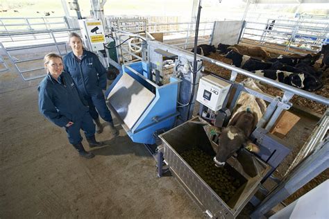 Pilot Trial To Identify Possibility Of Breeding Lower Methane Emitting Cows Gets Underway Lic