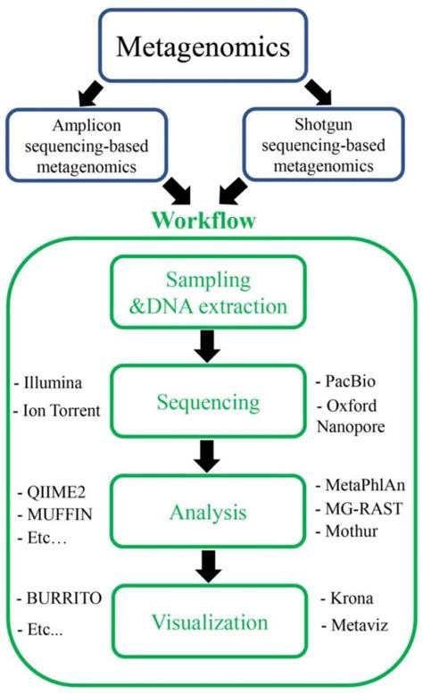 Microbiome Sequencing For Understanding Microbial Diversity