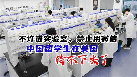 立法禁止中国学生进实验室，美国引发教职员抗议？ 凤凰网视频 凤凰网