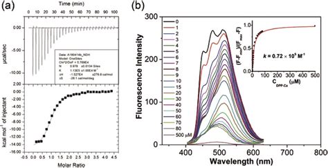 A ITC Trace Obtained From The Titration Of MM DPP Ca With T Am