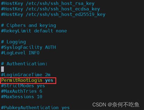 【linux】ubuntu配置ssh服务ubuntu Ssh Server Csdn博客