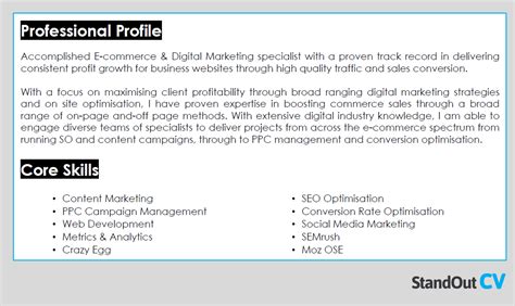 12 Cv Summary Objective Examples [and How To Write One]