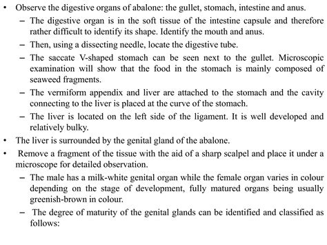 Taxonomy Biology And Farming Abalone Pptx