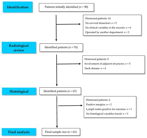 flow chart final sample size download scientific diagram