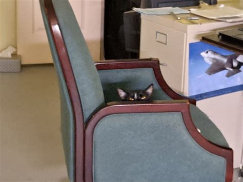 Official Willie Woo Blog On Tumblr