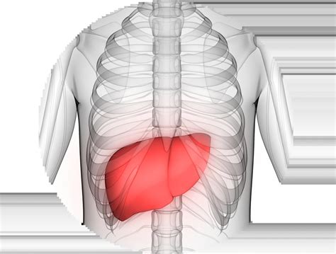 What Is Maviret Maviret