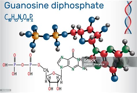 Guanosine Diphosphate Molekul Formula Kimia Struktural Dan Model Molekul Ilustrasi Stok Unduh