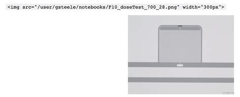 Absolute Paths To Markdown Images In A Jupyterhub Programming Questions Kavli Institute