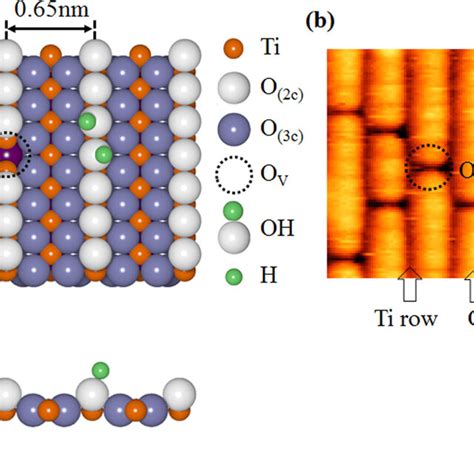 A Ball Model Of The Rutile Tio2 110 1 × 1 Surface B Afm Image Download Scientific