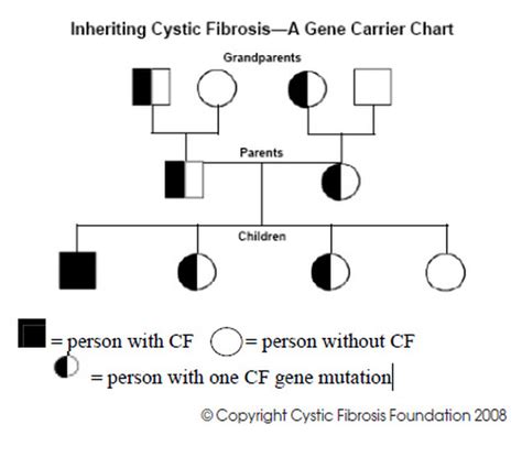 Inherited Disorders Castell Alun High School Biology