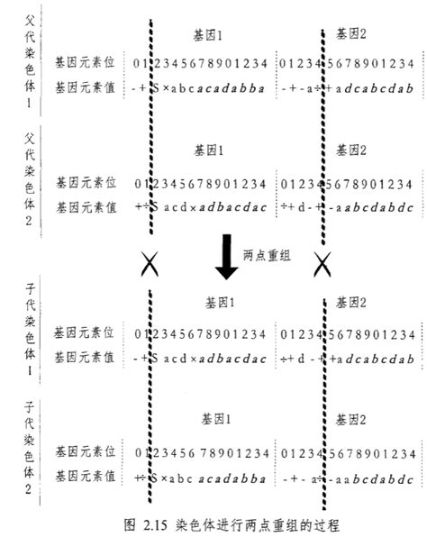 轻松入门基因表达式编程 (gep) Csdn博客 轻松入门基因表达式编程 (gep) Csdn博客