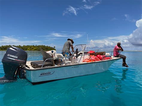 Classic Boston Whaler Boats