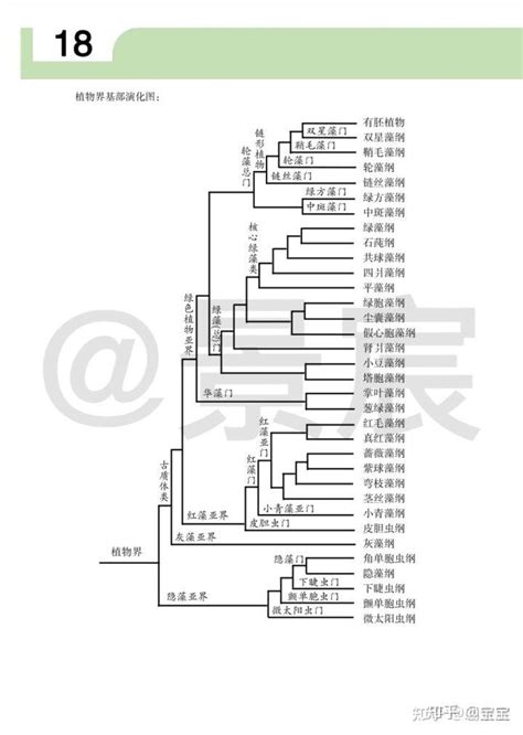 植物进化树 知乎