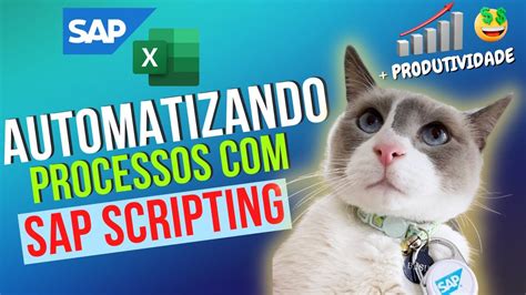 Integração Vba Sap Scripting Para Criação De Relatórios Youtube