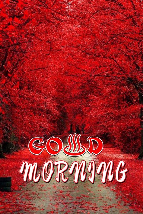 Sweet Hart Good Morning