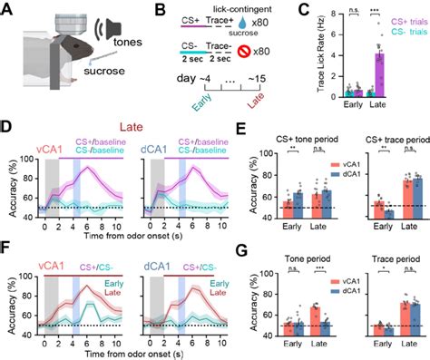 Learned Representations Of Task Elements Are Modality Independent And Download Scientific