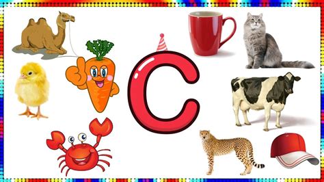 Letter C Object That Starts With Letter C Alphabet C দিয়ে শুরু