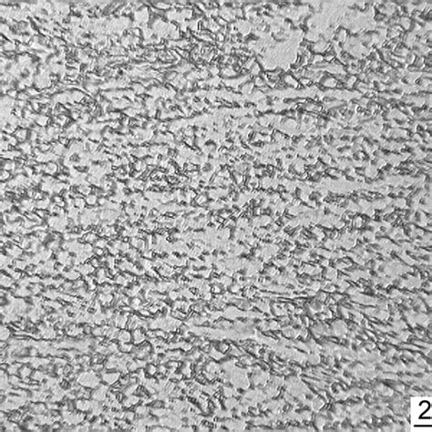 Microstructure Of Brass Download Scientific Diagram