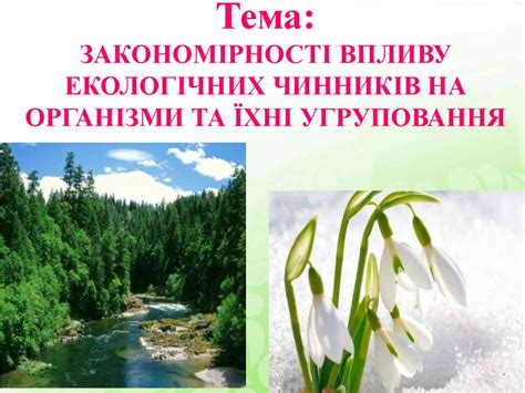 Закономірності впливу екологічних чинників на організми та їхні угруповання презентация онлайн