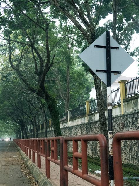 무료 이미지 나무 시골집 옥외 구조물 2748x3664 19287 무료 이미지 Pxhere