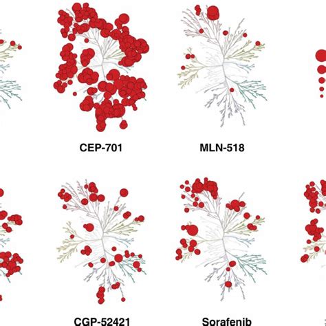 Small Molecule Kinase Interaction Maps For Flt3 Inhibitors Compounds Download Scientific