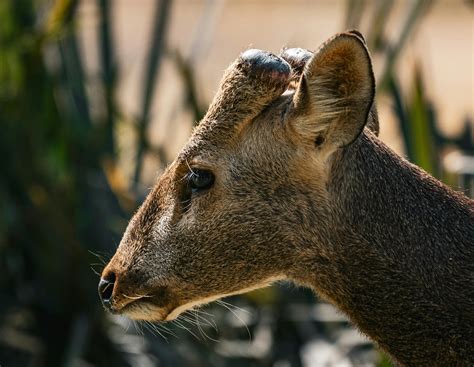 Linkedin Profile Background Images Photos Download The Best Free