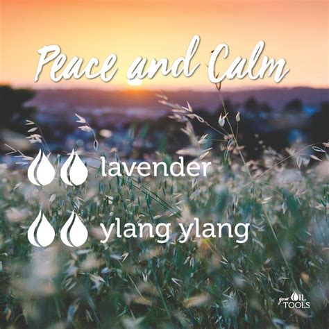 Peace And Calm Diffuser Blend Essential Oil Diffuser Blends Recipes Essential Oil Diffuser