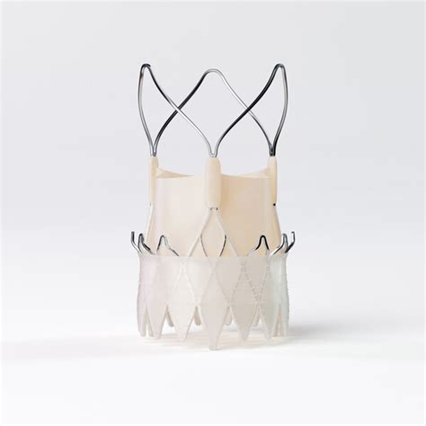 Boston Scientific Obtains Ce Mark For Acurate Prime™ Aortic Valve