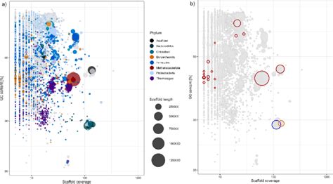 the scaffold coverage and gc content from generated metagenome are