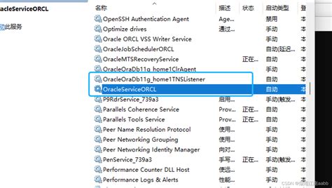 Navicat连接Oracle CSDN博客