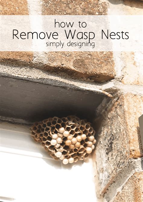 How To Get Rid Of A Wasps Nest Simply Designing With Ashley